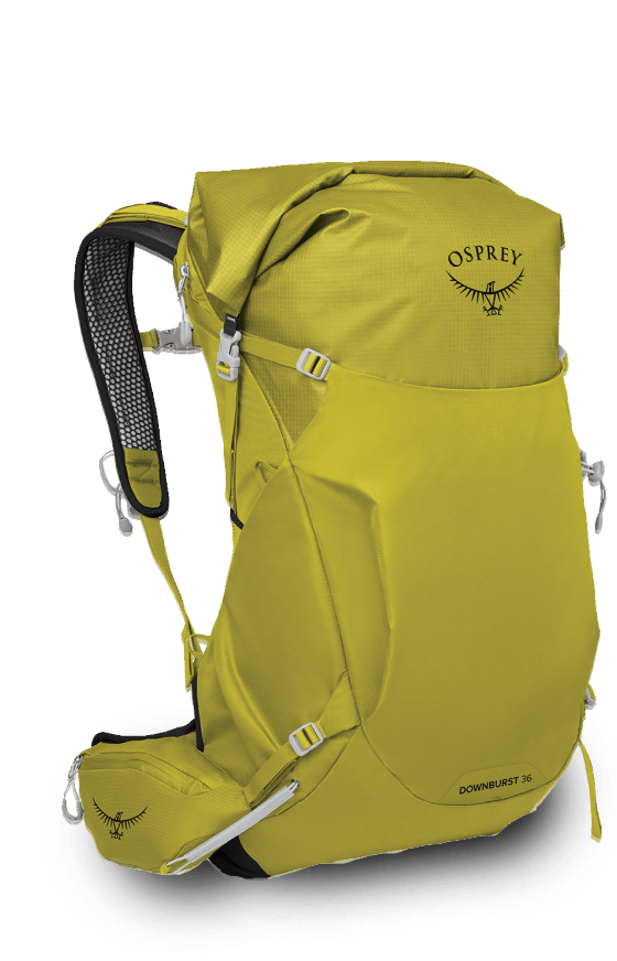 50 Years of Osprey | Our Legacy Guides Our Future | Osprey Europe